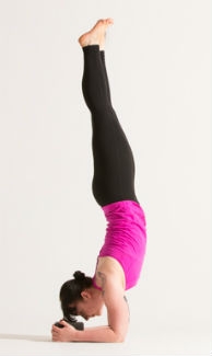 Pincha mayurasana (feathered peacock pose) is similar to headless ...